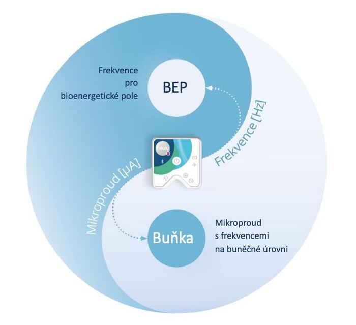 Seznámení se HEALY :: AURA system ČR